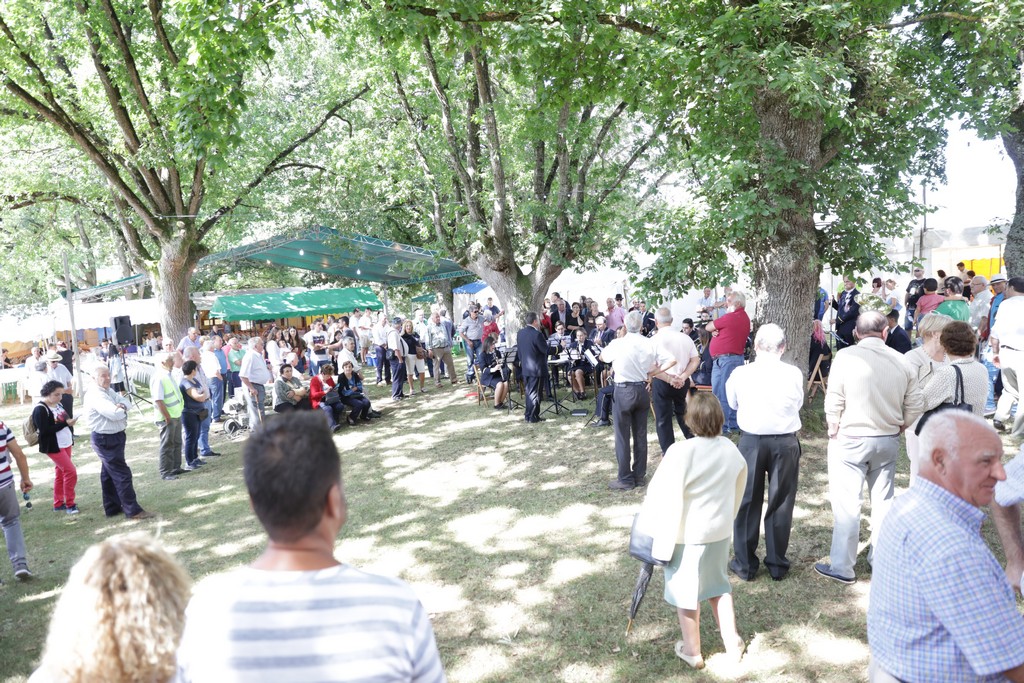 Pemento de Mougán 2018 - Pemento de Mougán