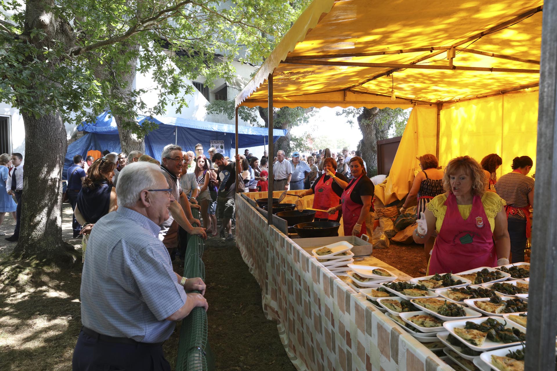 3W0A9532-pemento-de-mougan-2019 - Pemento de Mougán